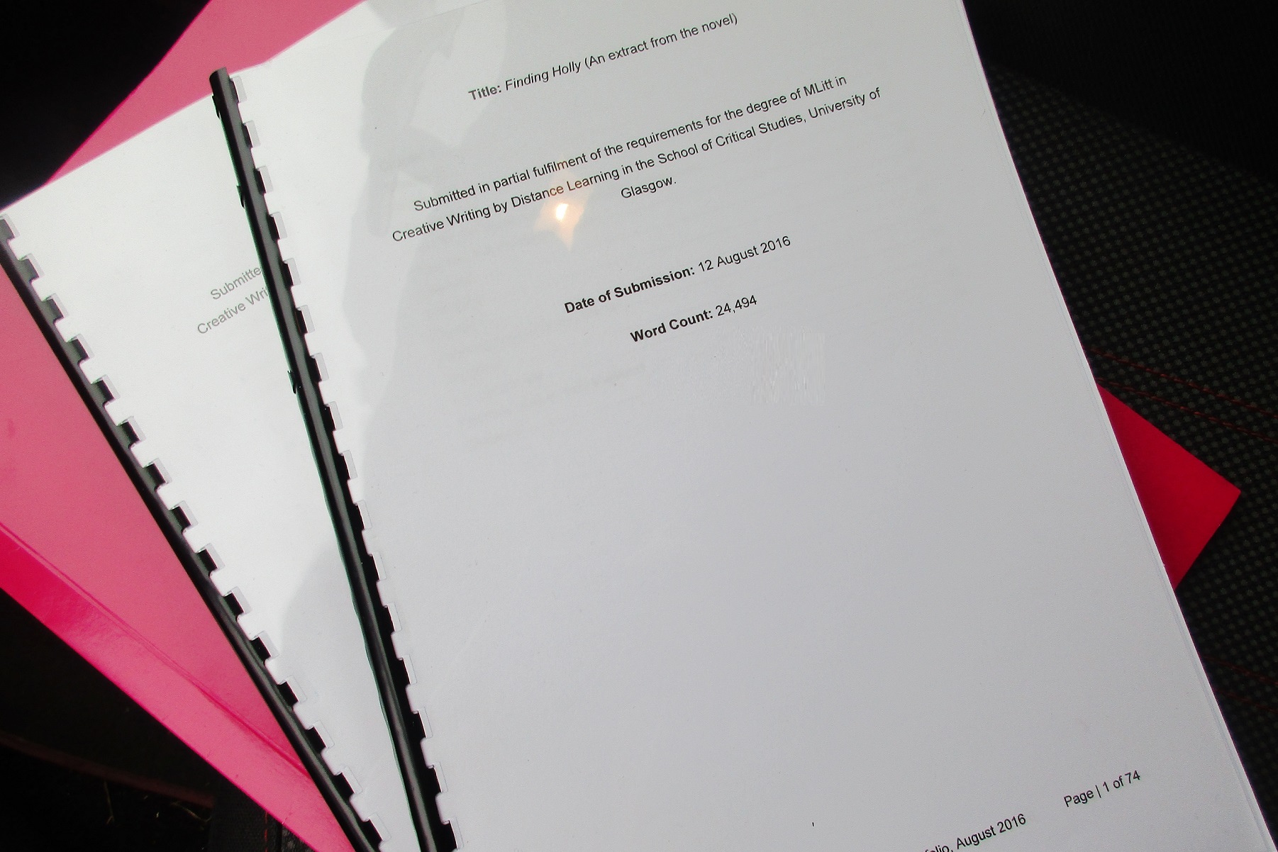 The Final Days of the Portfolio | Kerrie McKinnel